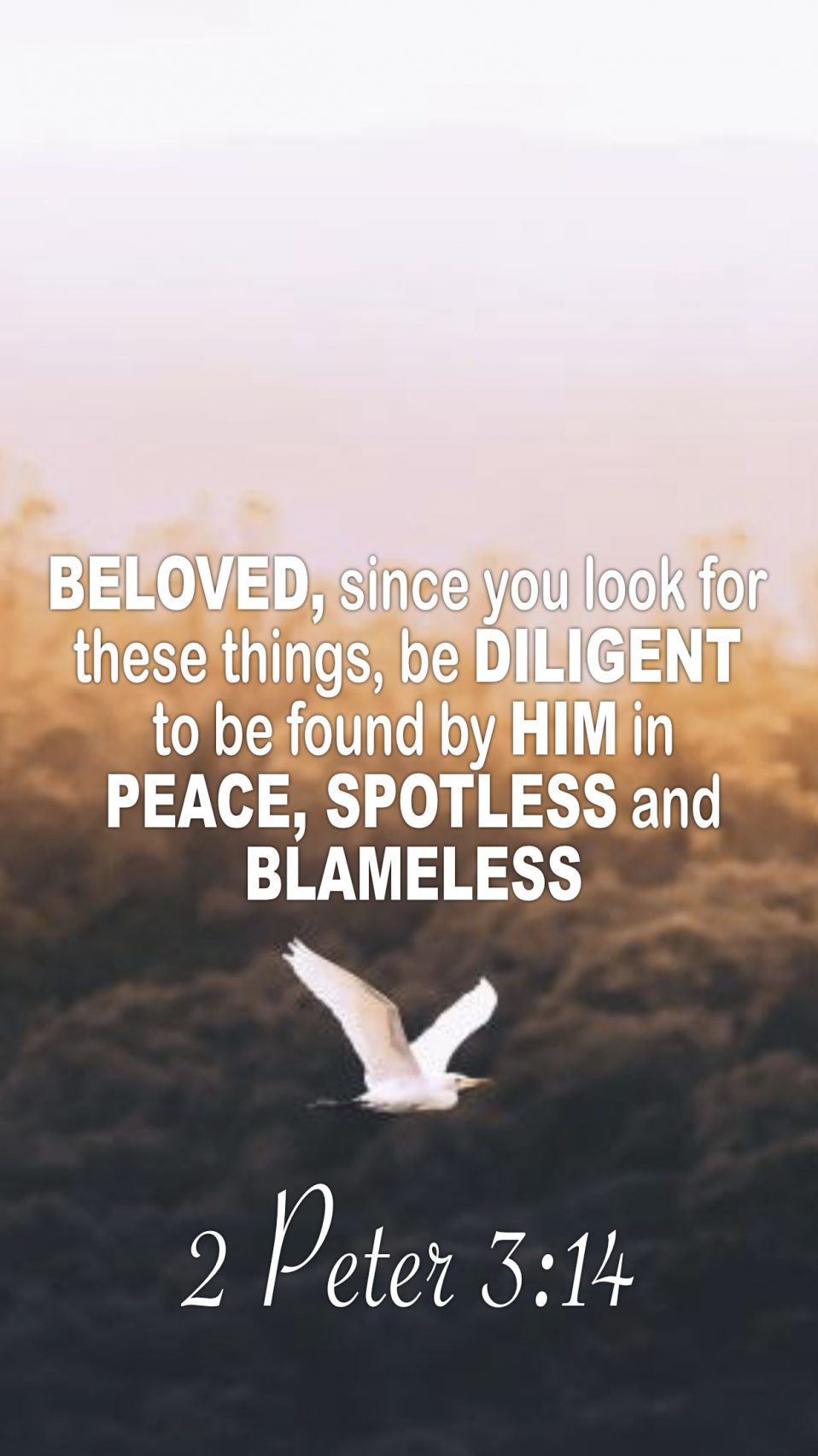 Memory Verses 2019 – Living Stones Christian Fellowship