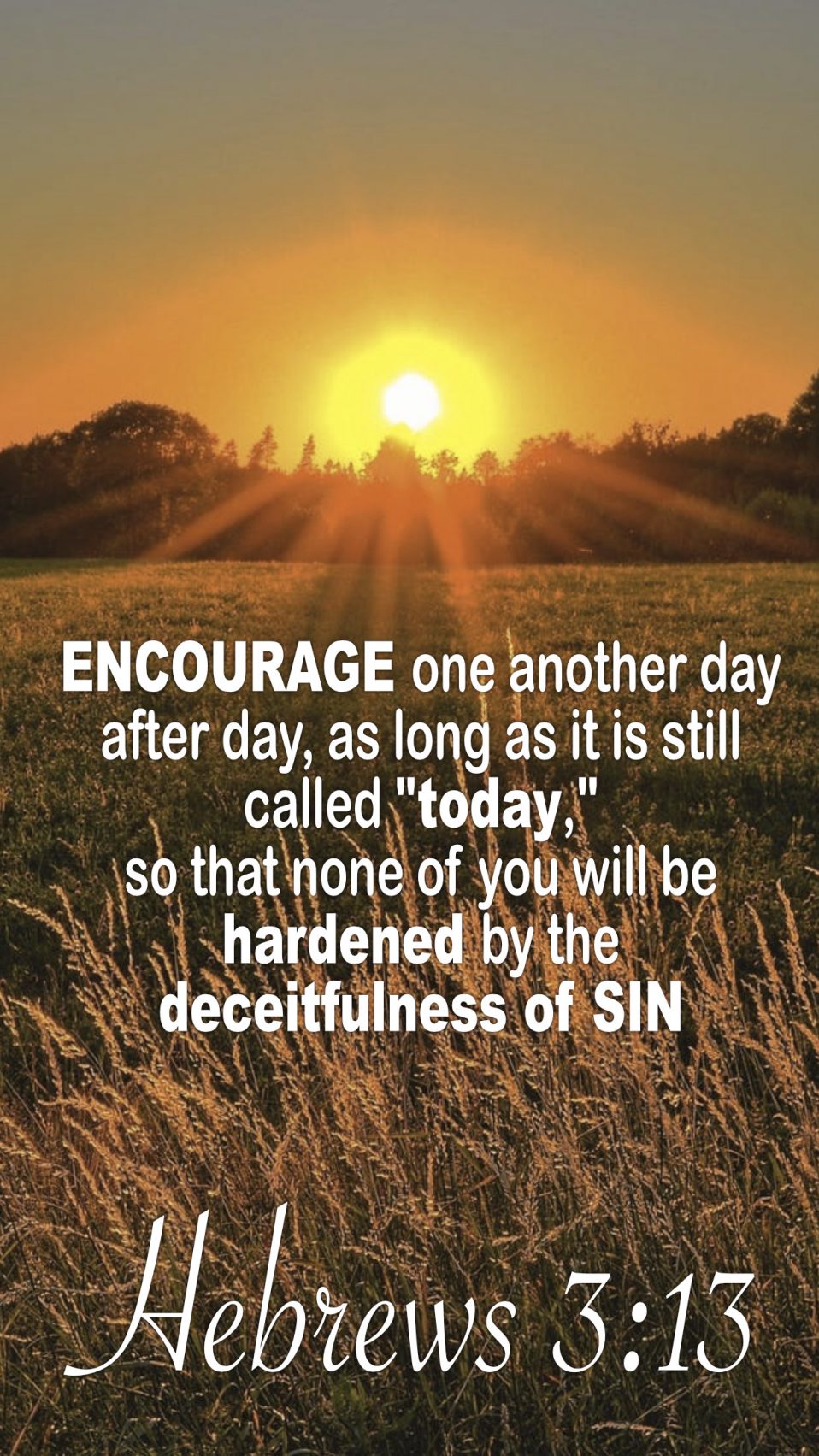 Memory Verses 2019 – Living Stones Christian Fellowship